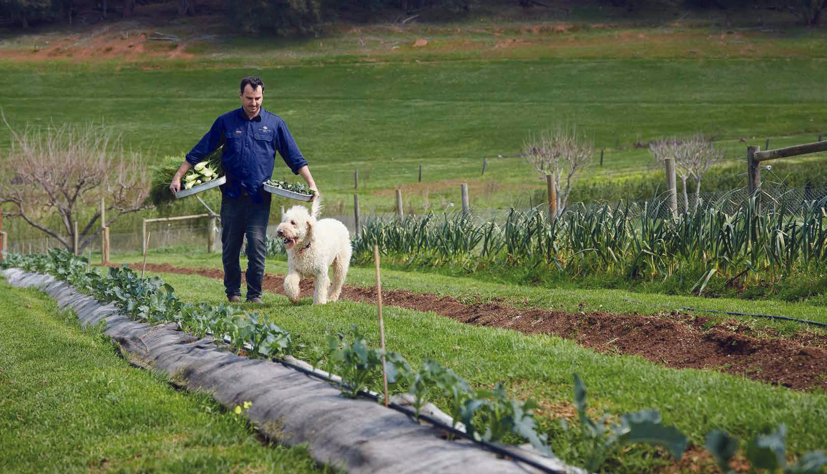 Gardening Australia visits Millbrook Winery